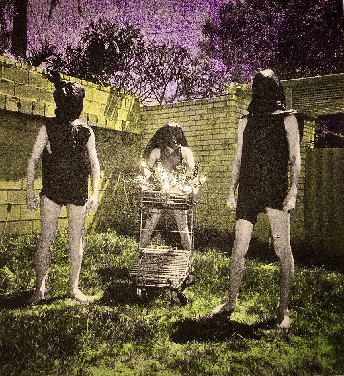 Alex Patching of Perth Punk Band Aborted Tortoise: “I became obsessed ...