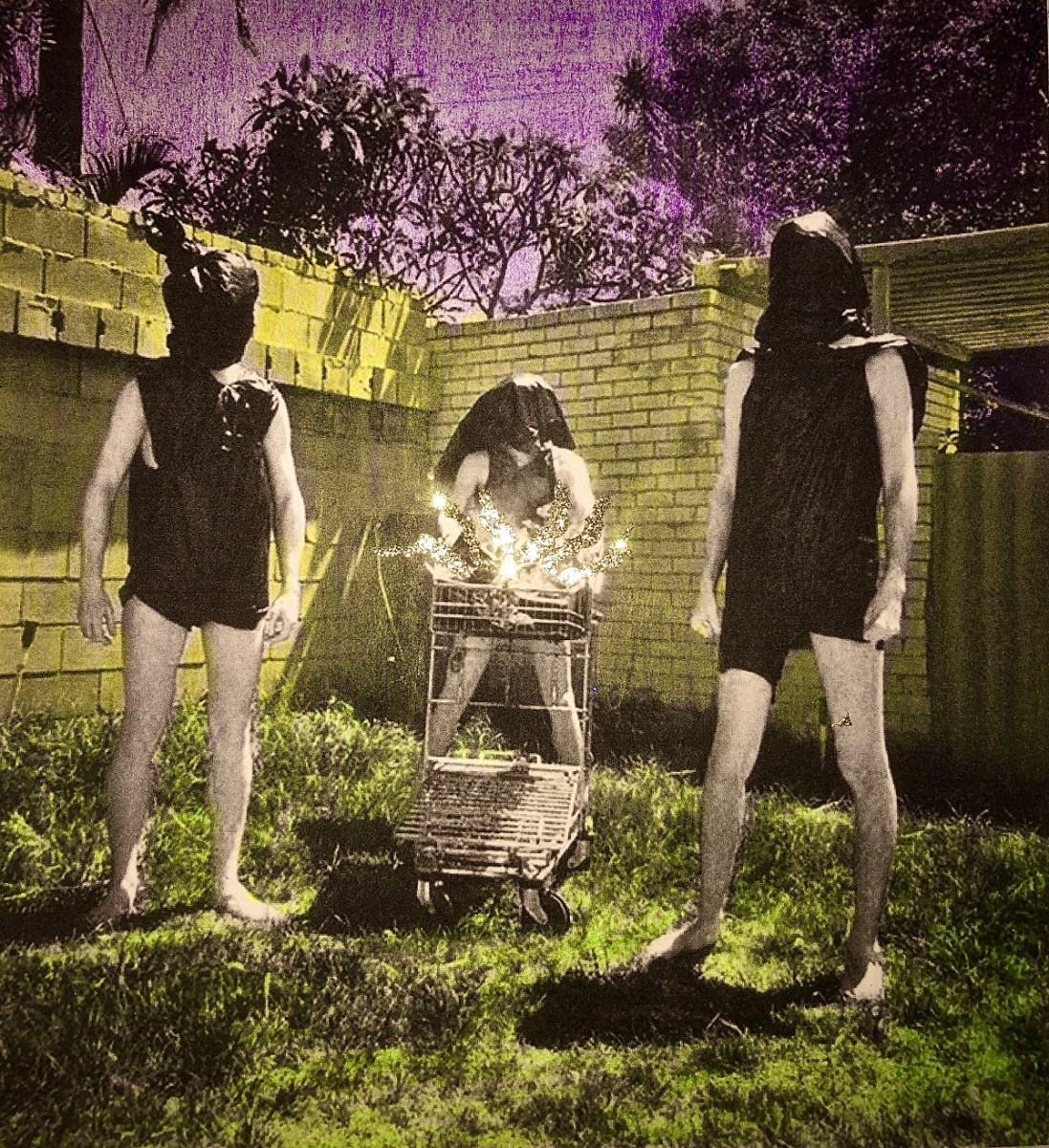 Alex Patching of Perth Punk Band Aborted Tortoise: “I became obsessed ...