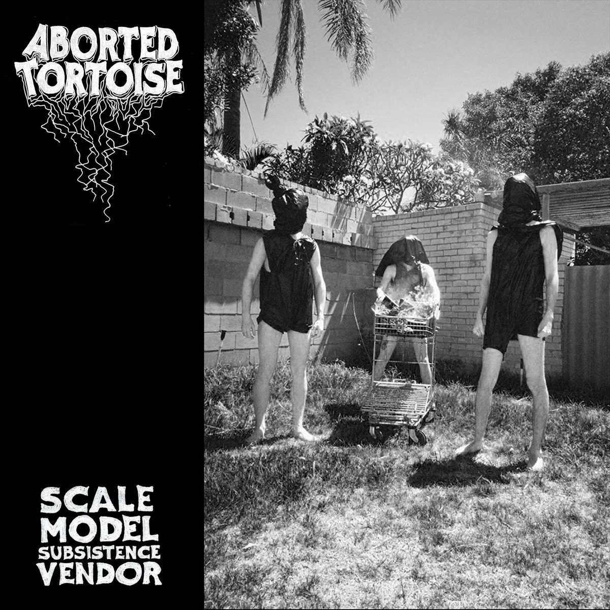 Alex Patching of Perth Punk Band Aborted Tortoise: “I became obsessed ...
