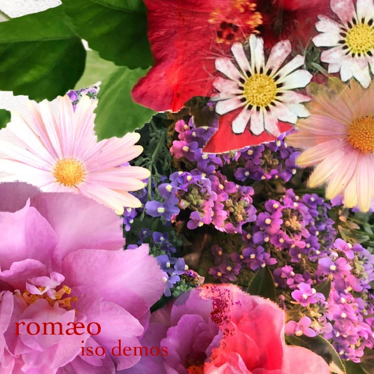 Sydney Ethereal Experimental Bedroom Art-Pop romæo: “My music is ...